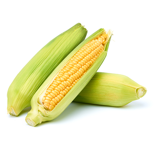 BWI Companies: Corn, Sweet Funks G90 - 5 lb by BWI Companies