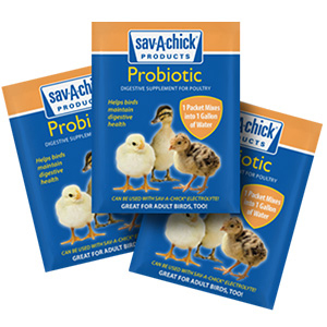 BWI Companies: Sav-A-Chick Probiotic (3 Pack) by Sav-A-Chick