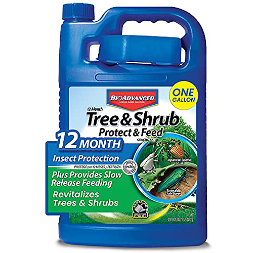 BWI Companies: 12 Month Tree & Shrub Protect & Feed Concentrate - 1 gal ...