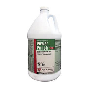 BWI Companies: Power Punch Gal - 1 gal by Vets Plus