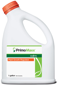 BWI Companies: Primo Maxx Plant Growth Regulator - 1 gal by Syngenta