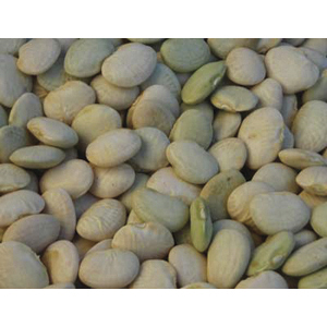 BWI Companies: Bean, Thorogreen Lima, Bush - 5 lb by BWI Companies